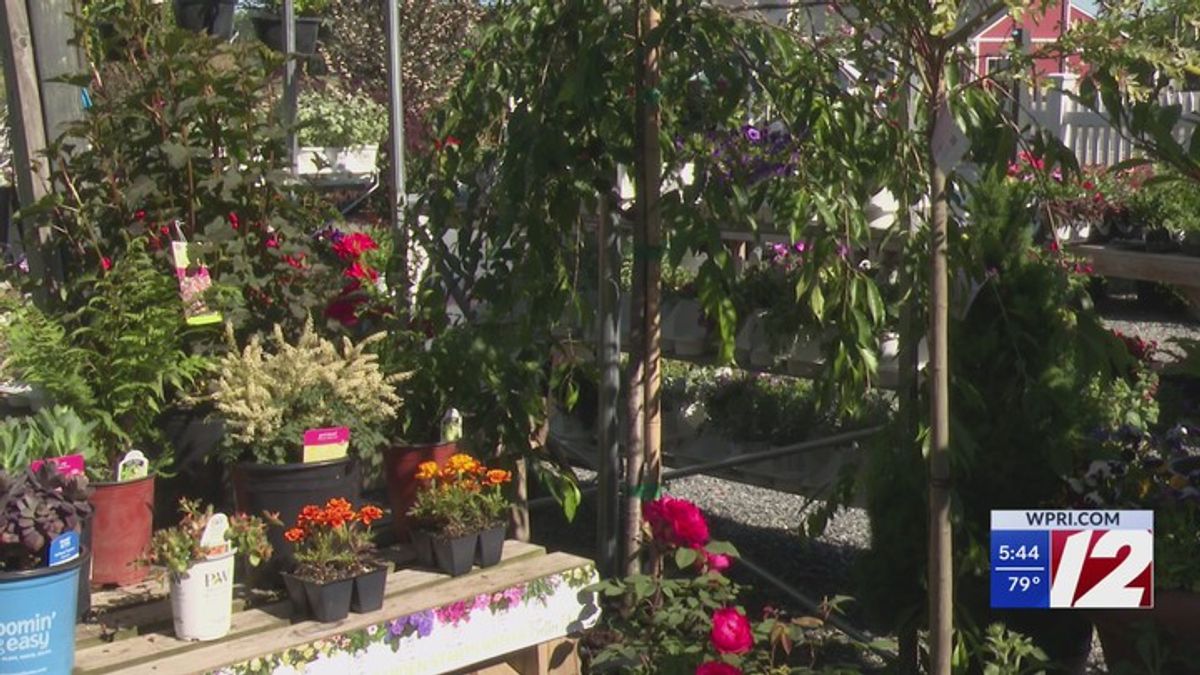 Why this gardening season started late | Haystack News