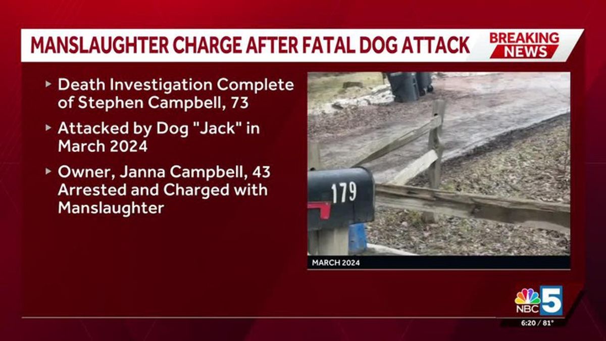 Dog owner charged with manslaughter after fatal attack in Essex ...