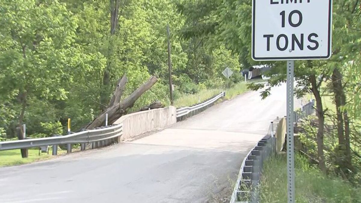 Man killed by falling tree in Washington County | Haystack News
