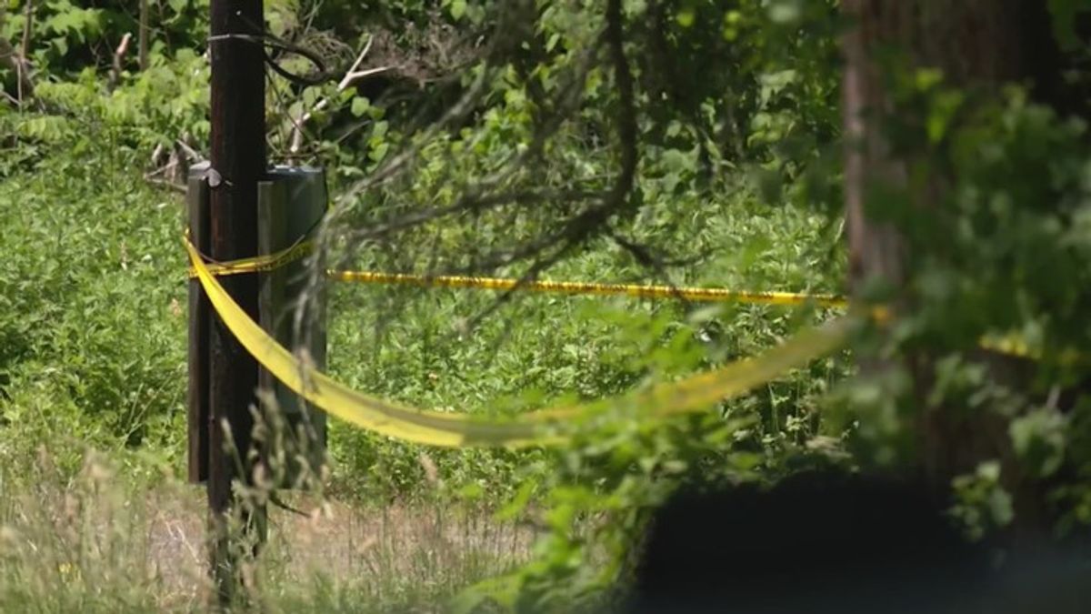 15-year-old male accused of murder in Saugerties | Haystack News