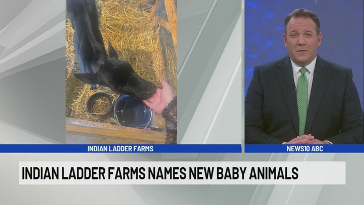 Indian Ladder Farms names new baby animals | Haystack News