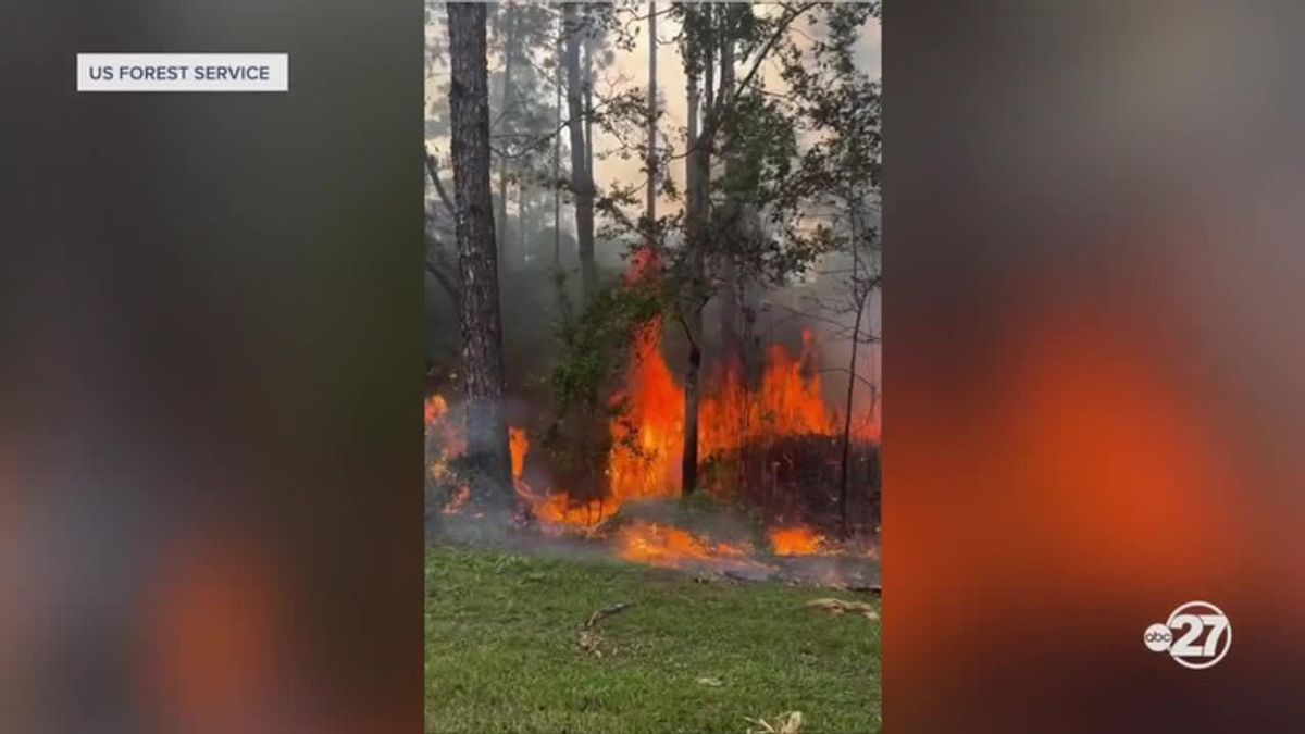 340 Fire reignites after burning 1700 acres in Apalachicola National ...