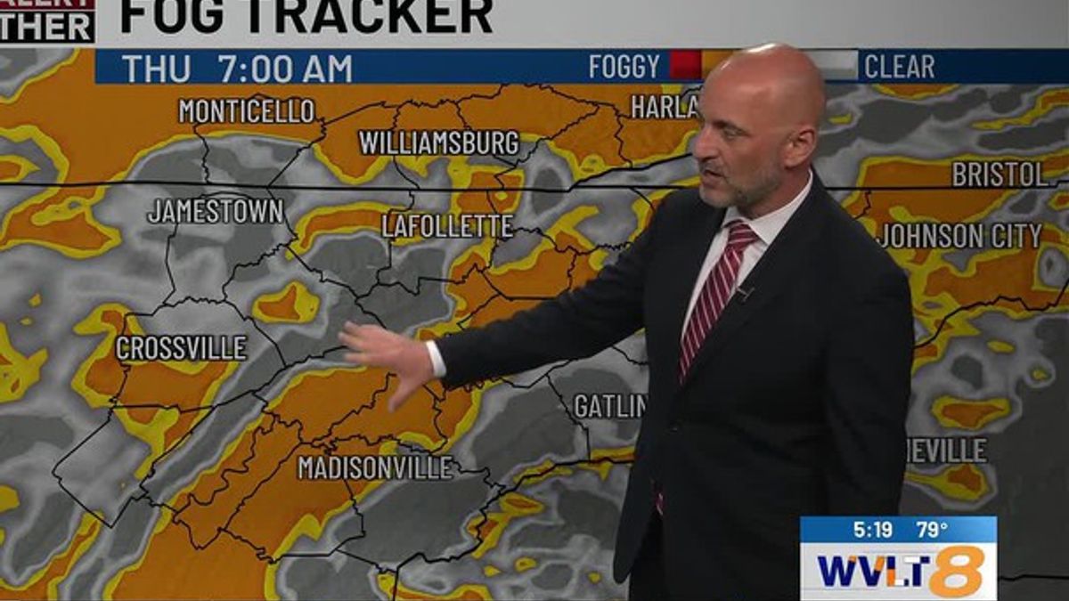 WVLT News at 5 p.m. - clipped version | Haystack News