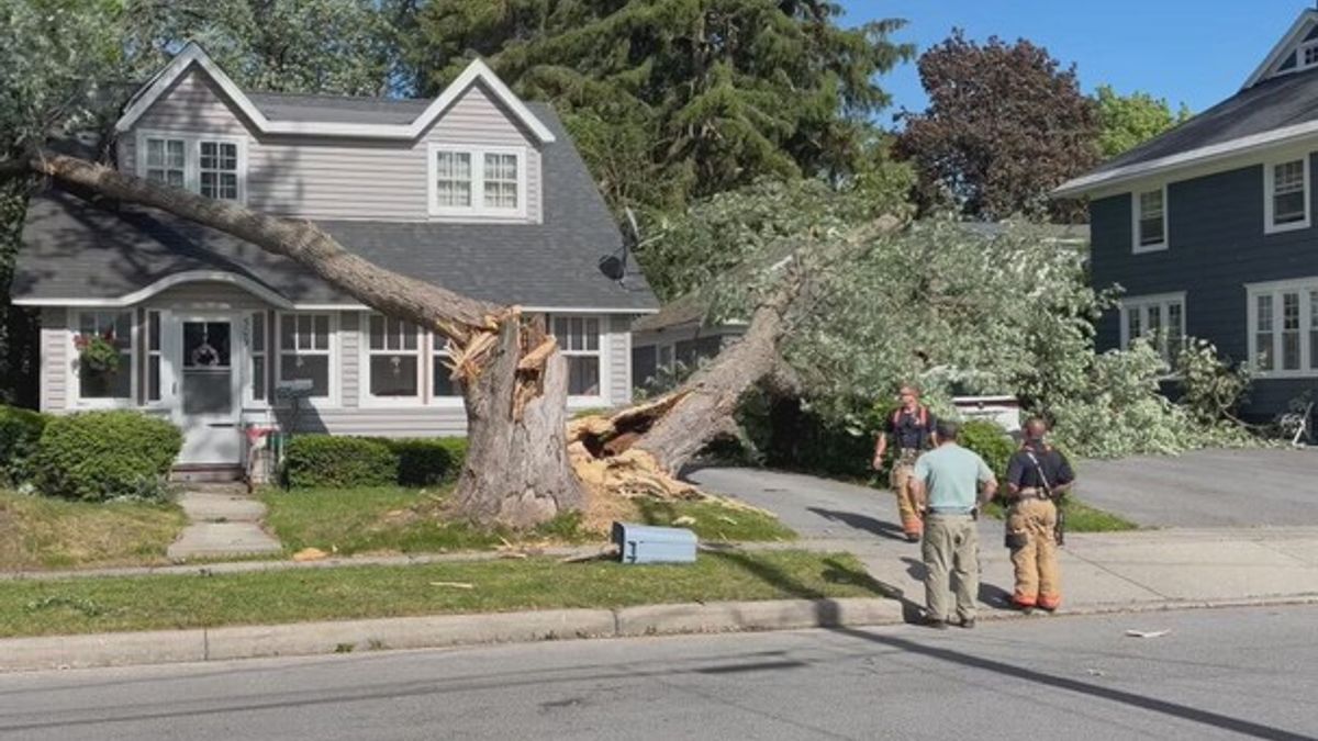 High winds cause falling trees, power lines across Jefferson County ...