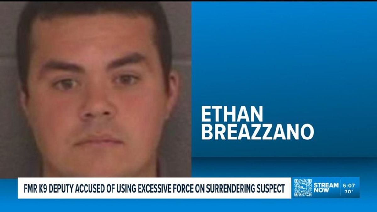 Sheriff speaks about former deputy being accused of using excessive ...