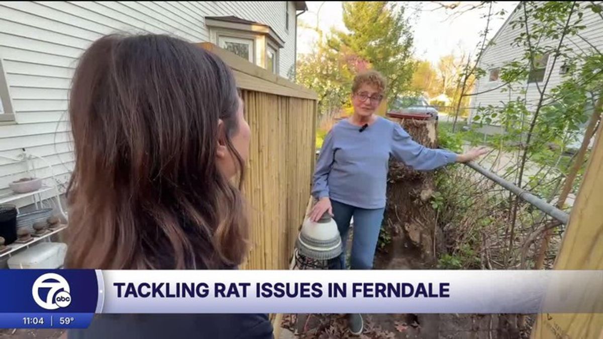 Ferndale Rat Patrol ramping up efforts to help residents combat chronic ...