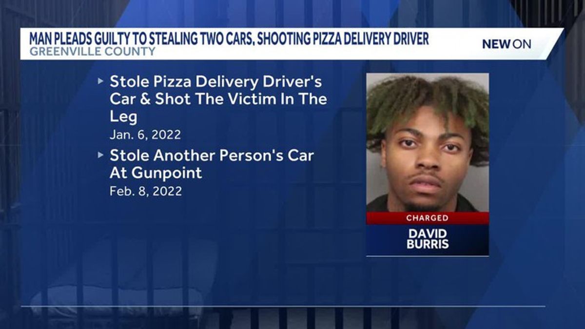 Greenville County man pleads guilty to armed carjacking of pizza ...