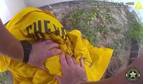Deputy wrangles 4-foot alligator with pipe, rain jacket in Avon Park ...