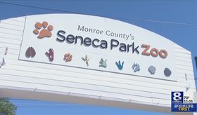 ‘It was really crazy’: Seneca Park Zoo evacuated, closed for day after ...