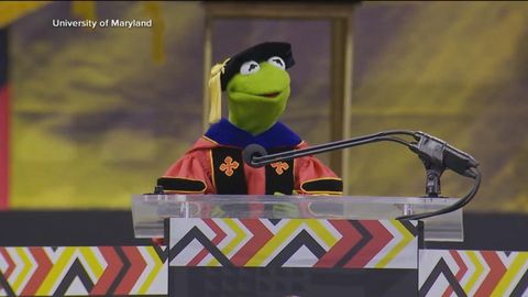 Kermit the Frog gives Maryland commencement speech | Haystack News