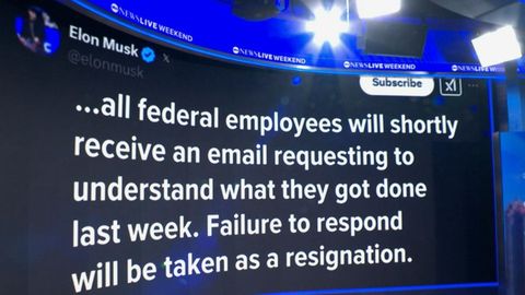 Some federal employees told not to respond to Musk’s email | Haystack News