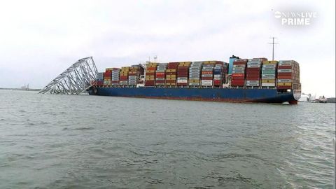 Longshoremen devastated by Baltimore bridge collapse | Haystack News