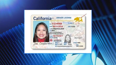 What TSA wants you to know about new Real ID requirements | Haystack News