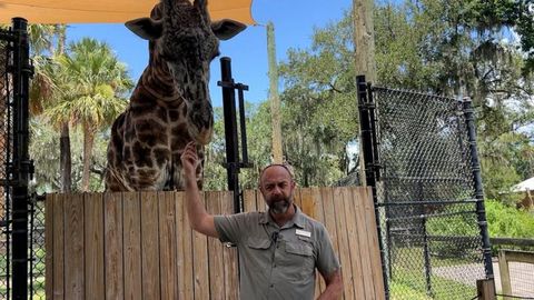 How does a zoo prepare for a hurricane? | Haystack News