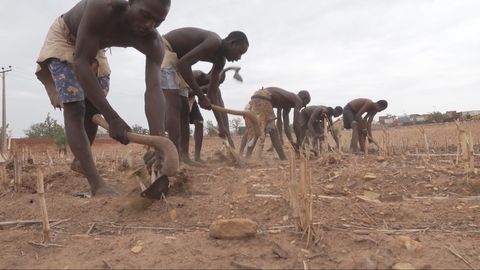 Nigeria's Zuru people preserve marriage tradition through farm labour ...