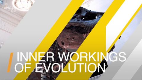 520-Million-Year-Old Fossil Discovered With Organs Amazingly Preserved ...