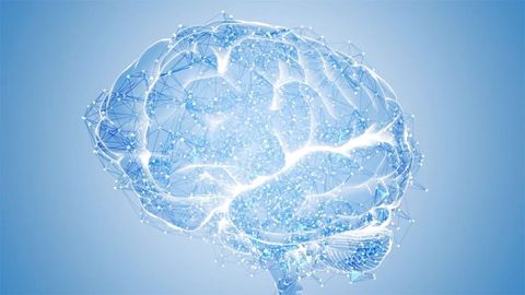 Ever Wonder How the Brain Experiences Being in Outer Space? | Haystack News