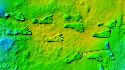 Footprints Discovered in White Sands New Mexico Are Now Confirmed as ...