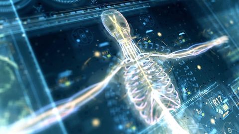 Just How Long Could Humans Live For? | Haystack News