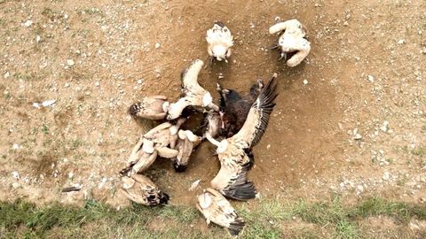 The Disappearance of This Very Specific Thing in India Actually Led to ...