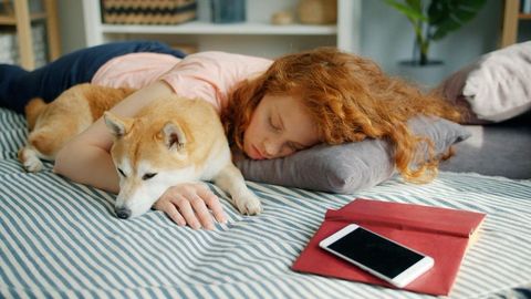 Snooze Tactics: How Animals Catch Zzzs in the Wildest Ways | Haystack News