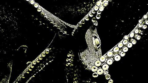 DNA From Two Octopus Species Just Revealed a Serious Warning About ...
