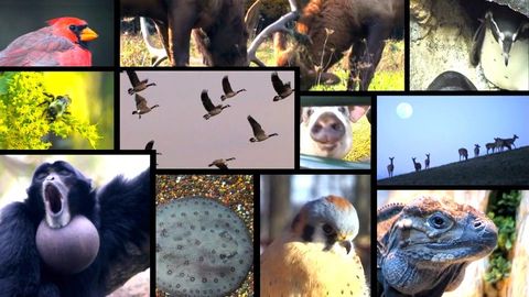 This New Campaign Wants Humans To Be Included in the Definition of ...