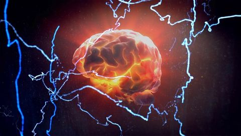 Cutting Learning Time in Half By Using Small Electrical Shocks to the ...