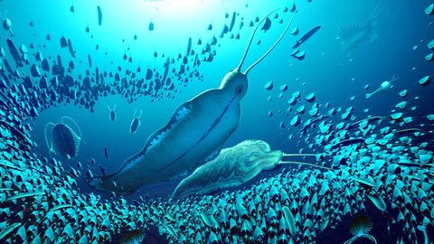 This Giant Worm Actually Ruled The Deep Oceans Before Sharks | Haystack ...