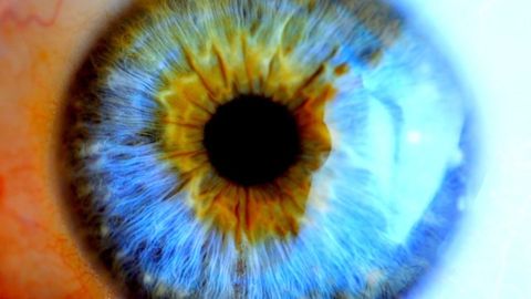 Why Hallucinations in Real Life Manifest Differently Than In Movies ...