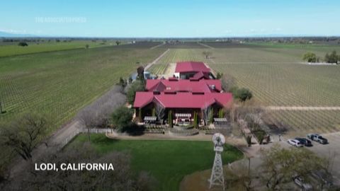 US CA Wine Tariffs (CR) | Haystack News