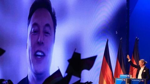 German Tesla Sales Fall Amid Musk Political Intervention | Haystack News