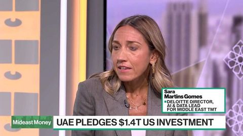 AI Infrastructure Investments Core for UAE: Deloitte's Gomes | Haystack ...