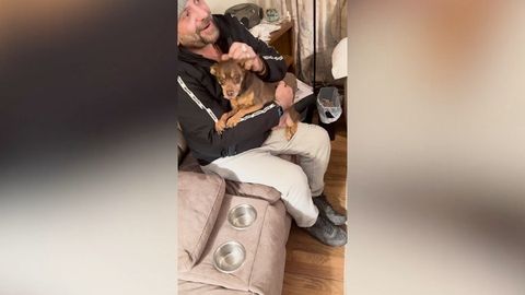Man Finds Dog Missing for 8 Years During Cross-Country Move | Haystack News
