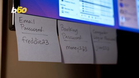 Stop Reusing The Same Passwords and Get Yourself a Vault | Haystack News