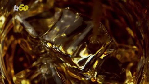 Breaking Down The Difference Between Dry January and Damp January ...