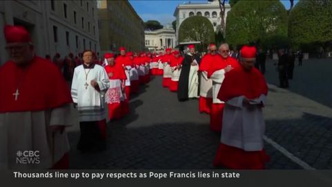 Thousands line up to see Pope Francis lying in state in Rome | Haystack ...