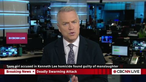 Teen girl found guilty of manslaughter in fatal Toronto swarming attack ...