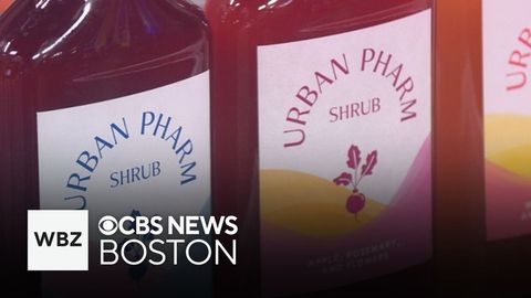 Massachusetts company Urban Pharm looks to reinvent drinking vinegar ...