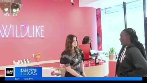 Happy International Women's Day! | Haystack News