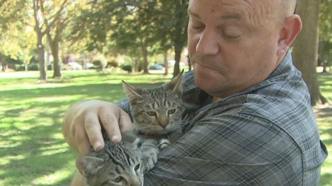 Sacramento man who adopted 2 kittens says he was overcharged $750 by ...