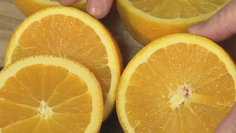 What you need to know about Naval Oranges | Haystack News