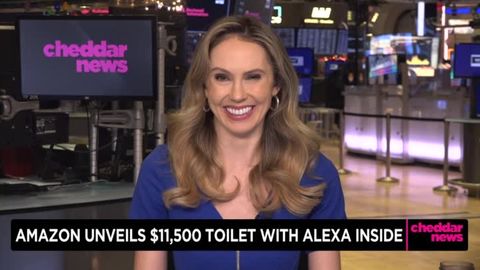 Amazon Unveils $11,500 Smart Toilet With Alexa Built Inside | Haystack News