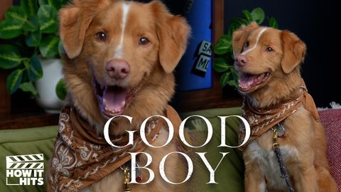 How To Make a Movie Starring Only a Good Boy | Haystack News