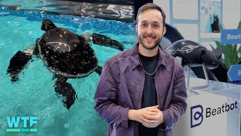 Meet the Robot Sea Turtle Designed for Ocean Monitoring | Haystack News