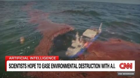 Using AI to fight oil spills | Haystack News