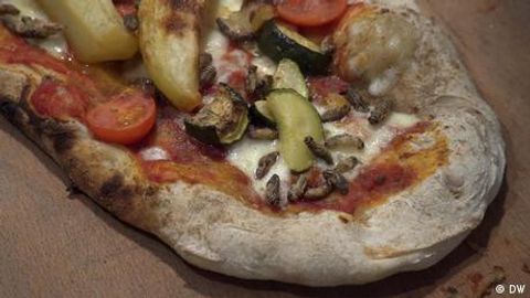 Italy: Pizza with insects | Haystack News