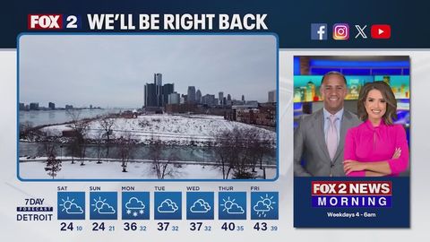 FOX 2 Detroit Live | Haystack News