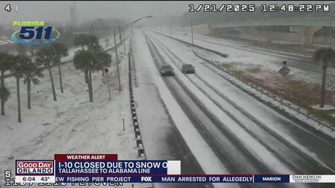 Florida sees record 9+ inches of snowfall | Haystack News