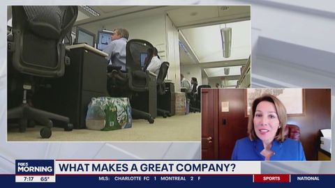 What Makes A Great Company? | Haystack News